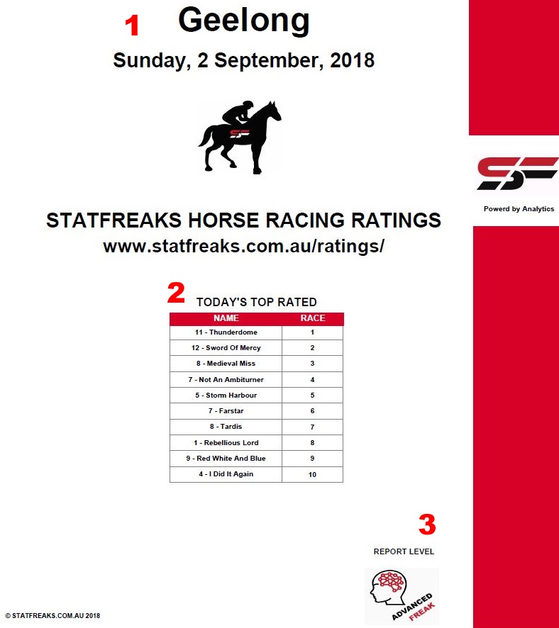 SFR Horse Ratings Explained