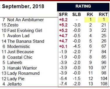 SFR Horse Ratings Explained