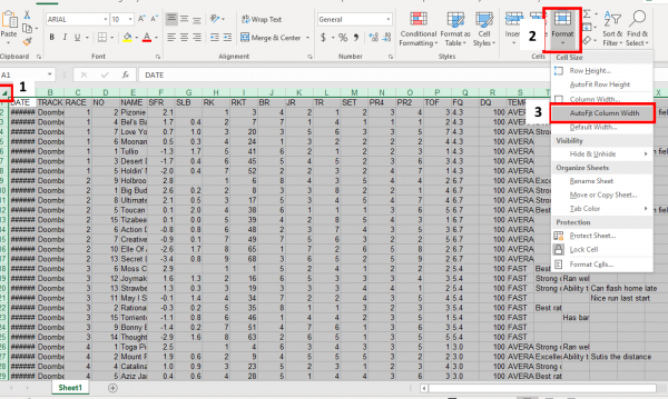 Horse Racing Excel Data Tutorial