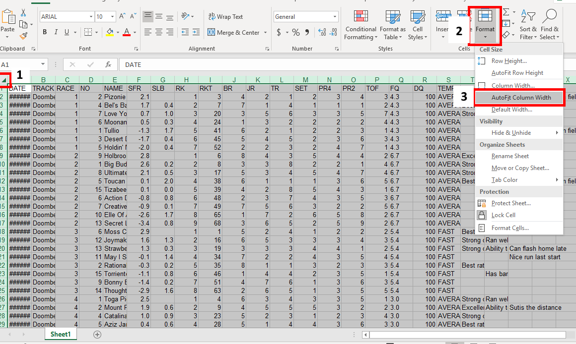 Horse Racing Excel Data Tutorial