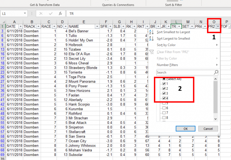 Horse Racing Excel Data Tutorial
