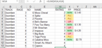 Horse Racing Excel Data Tutorial