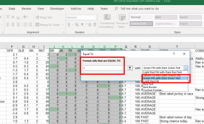 Horse Racing Excel Data Tutorial