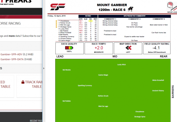 Free Horse Racing Ratings - What's Included?